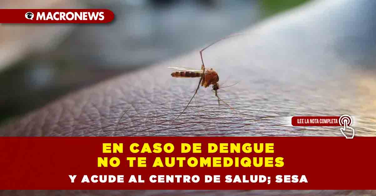 En caso de dengue no te automediques y acude al centro de salud; SESA — Macronews