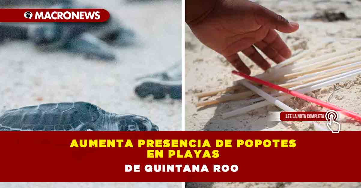 Aumenta presencia de popotes en playas de Quintana Roo — Macronews
