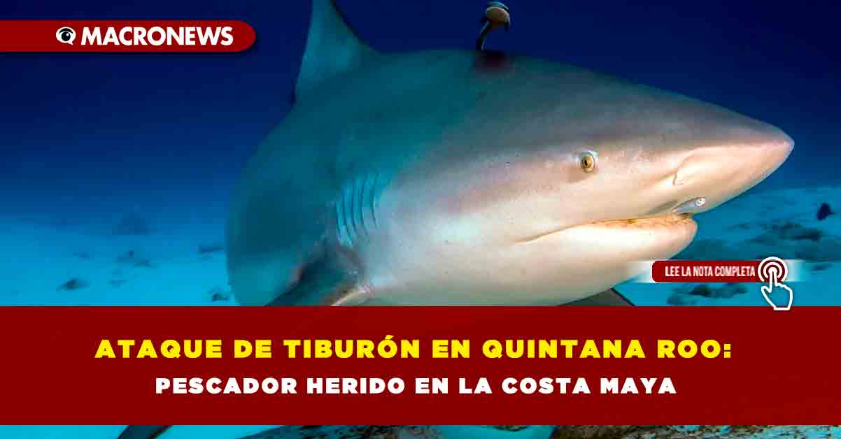 Ataque de tiburón en Quintana Roo: Pescador herido en la Costa Maya ...