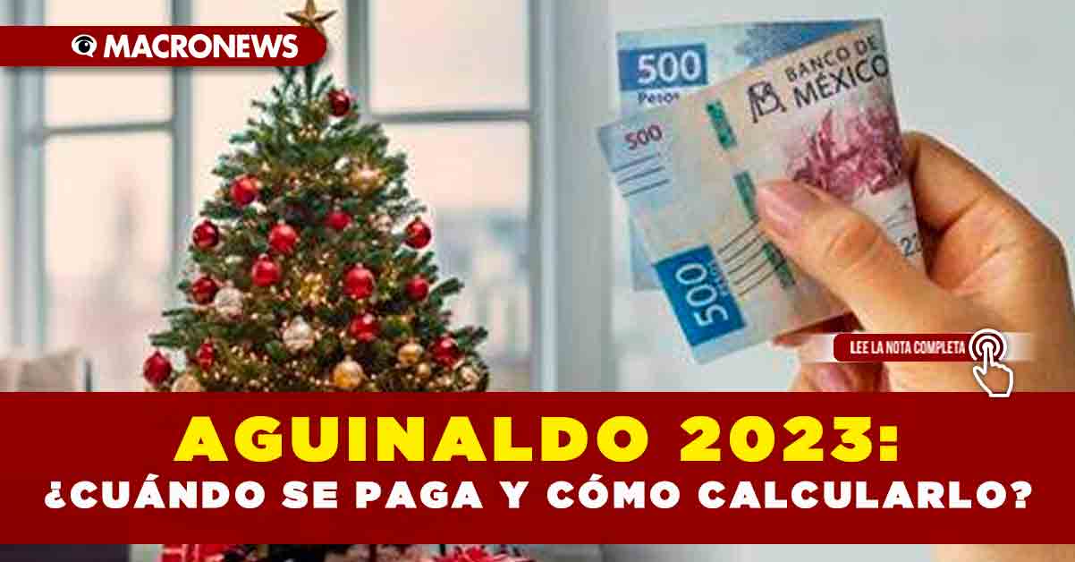 Aguinaldo 2023: ¿Cuándo se paga y cómo calcularlo? — Macronews