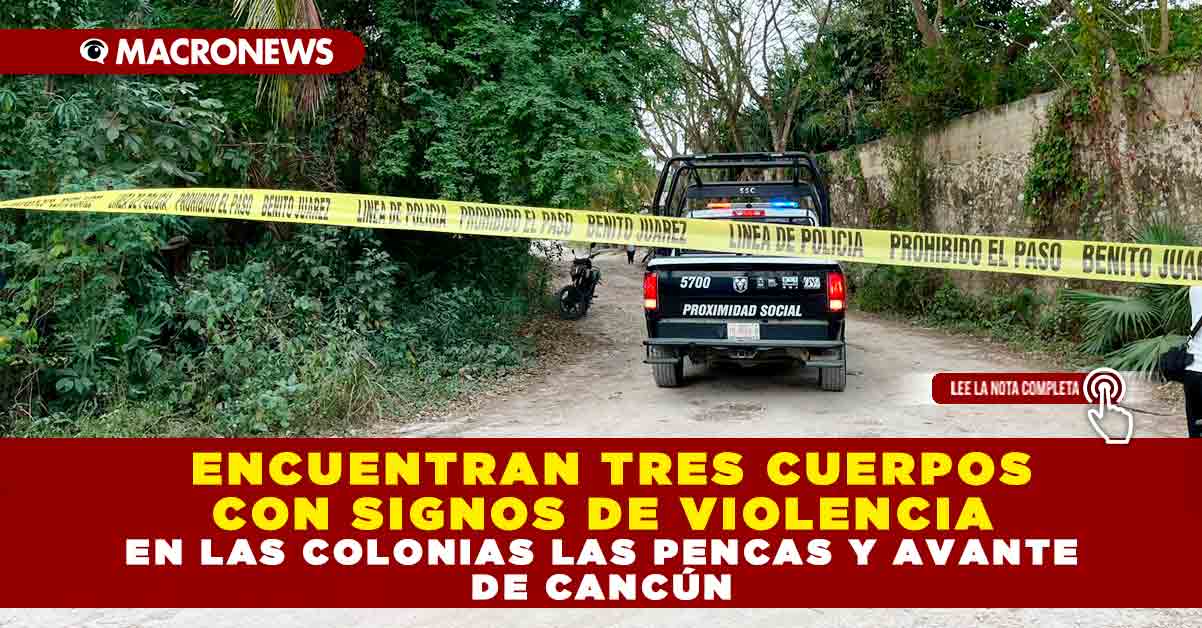ENCUENTRAN TRES CUERPOS CON SIGNOS DE VIOLENCIA EN LAS COLONIAS LAS PENCAS Y AVANTE DE CANCÚN ...