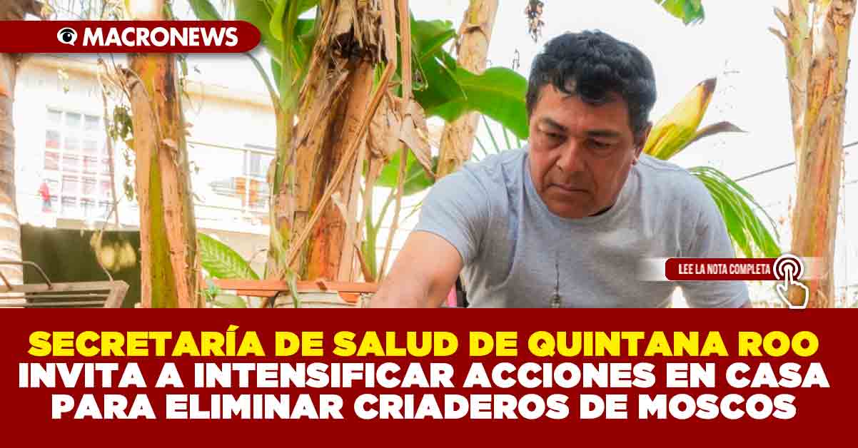 SECRETARÍA DE SALUD DE QUINTANA ROO INIVITA A INTENSIFICAR ACCIONES EN ...