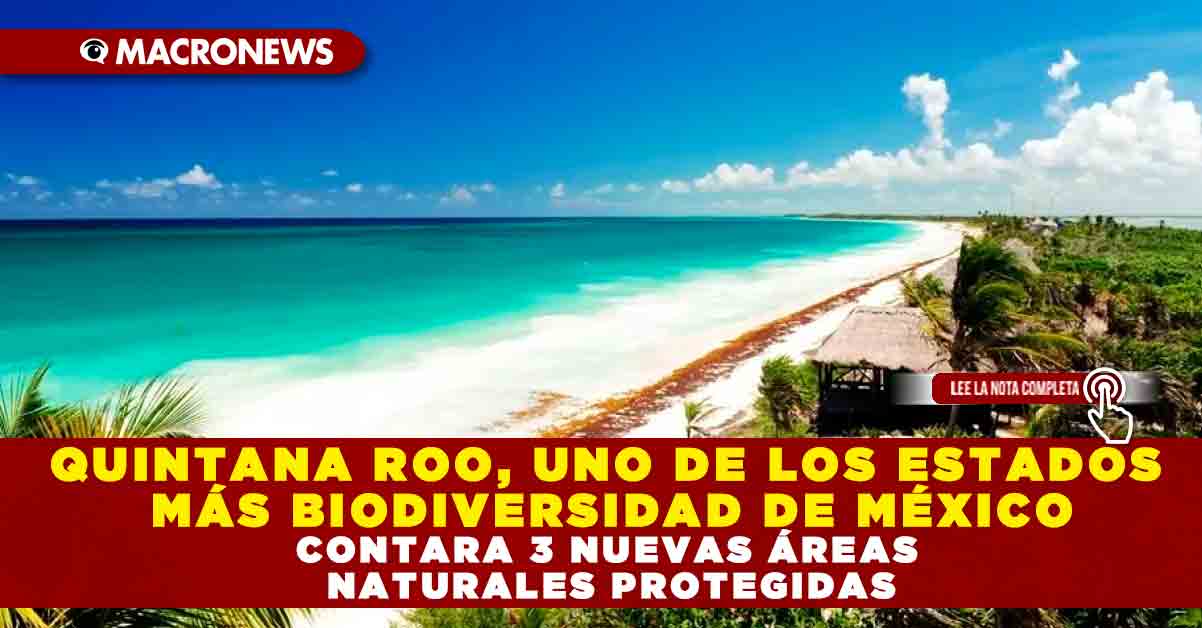 QUINTANA ROO, UNO DE LOS ESTADOS MÁS BIODIVERSIDAD DE MÉXICO, CONTARA ...