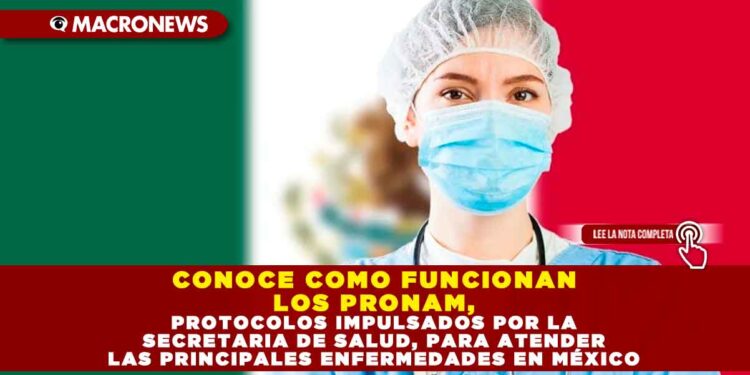 CONOCE COMMO FUNCIONAN LOS PRONAM, PROTOCOLOS IMPULSADOS POR LA ...